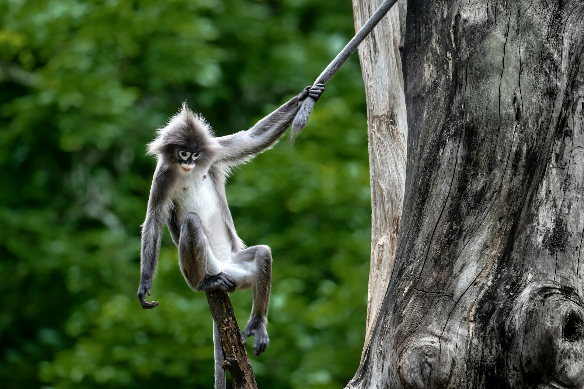 Write into the Light | Inspiration for those with Mental Illness